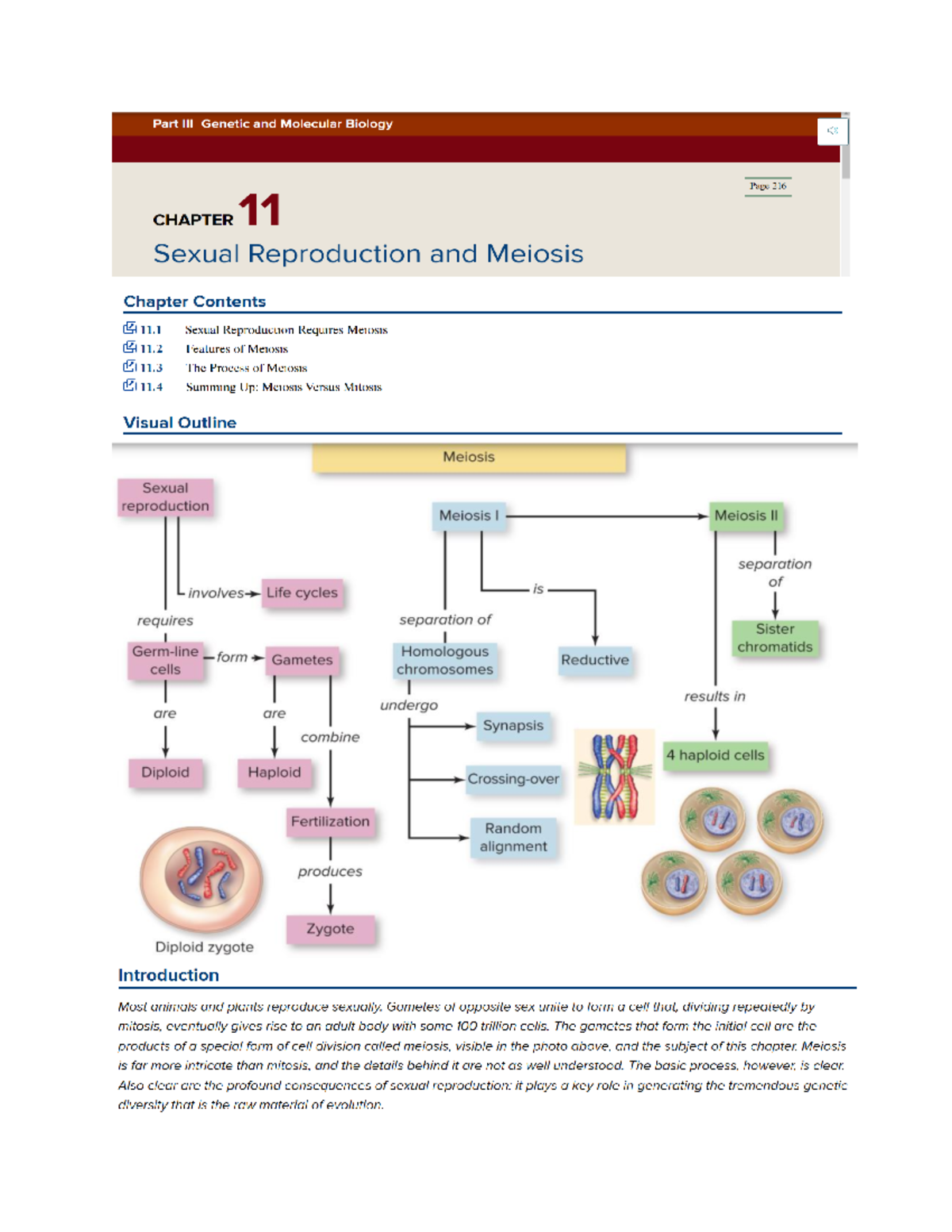 Chapter 11 Biology - Part Genetic and Molecular Biology ) Page 216 ...