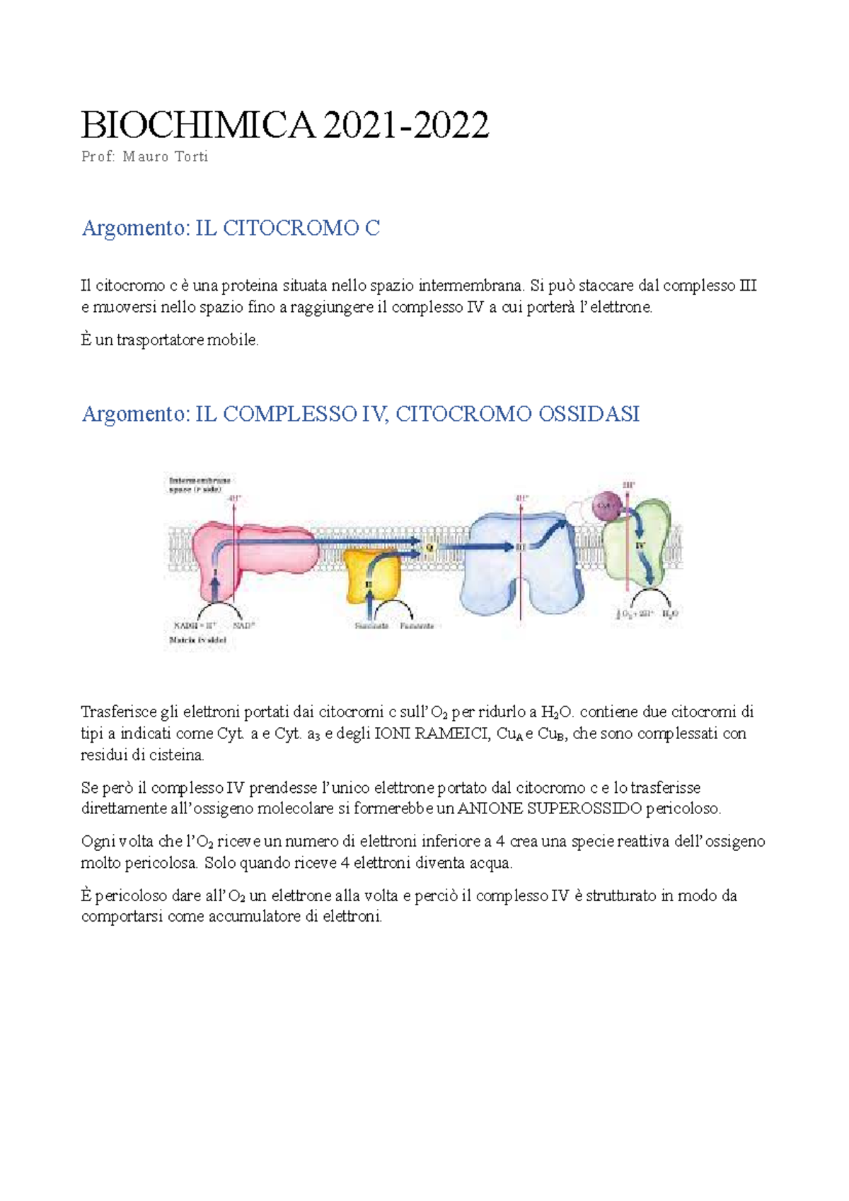 Biochimica lez.26 IL Complesso IV E IL Citocromo C - Chimica Organica ...