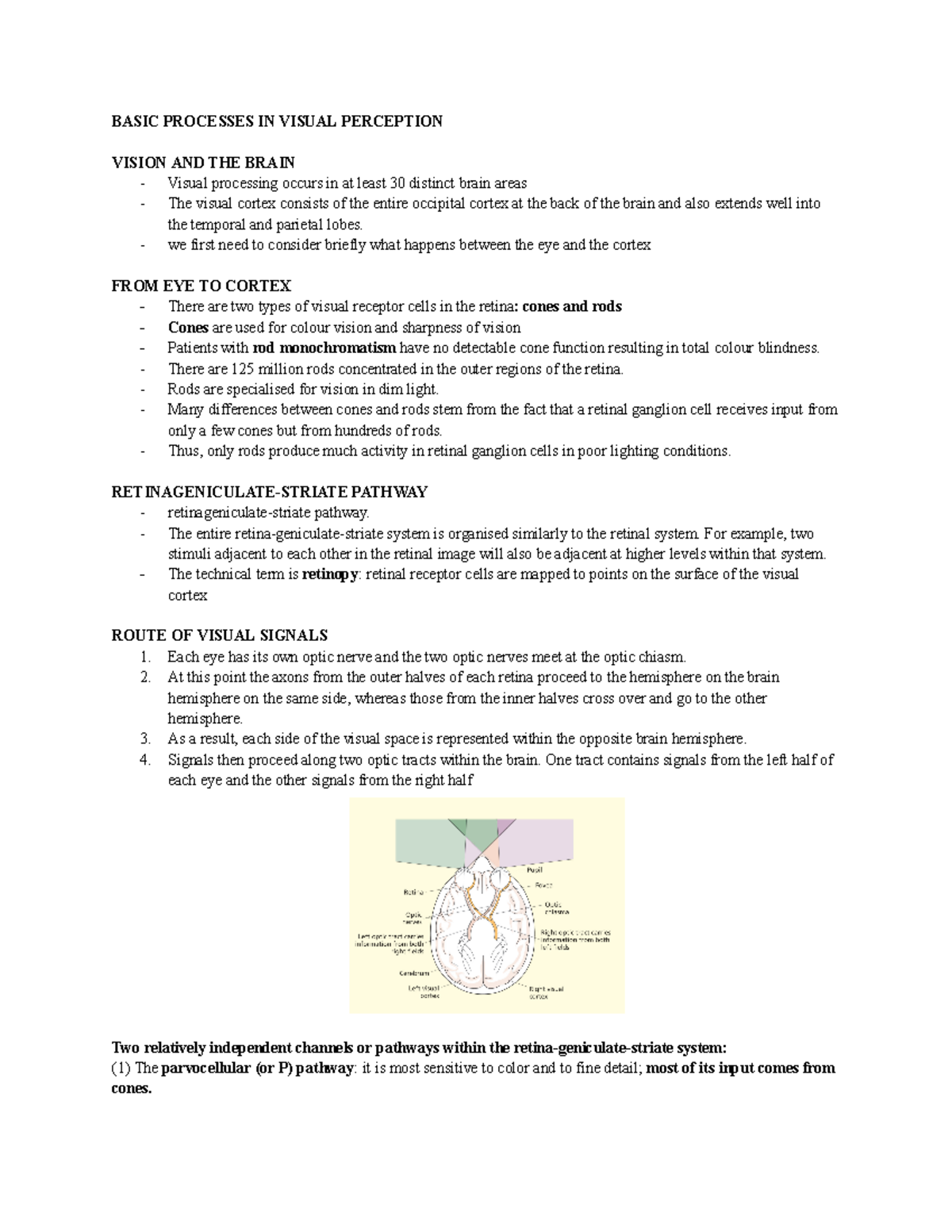 Chapter 2 Perception Eyesnck - BASIC PROCESSES IN VISUAL PERCEPTION ...