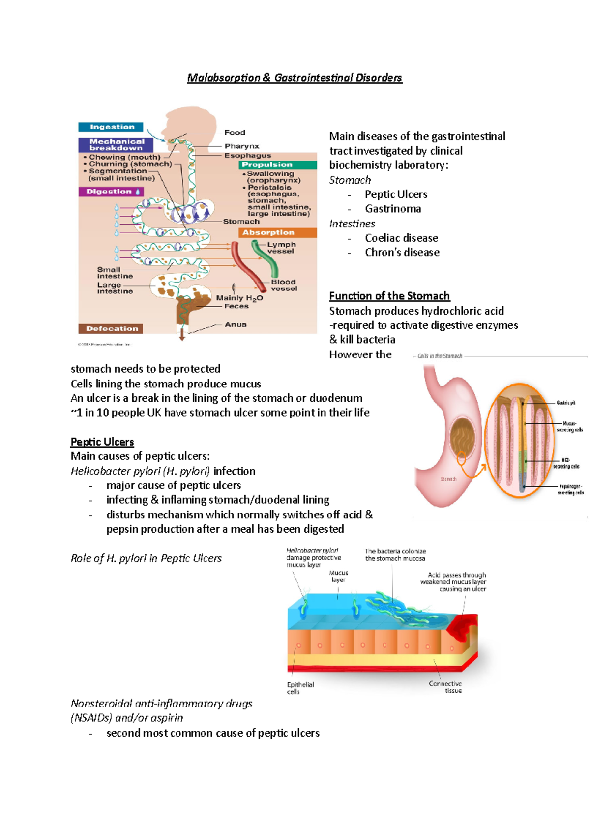 Malabsorption and gastrointestinal disease - Malabsorption ...