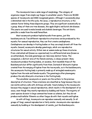 Tracheophytes - Tracheophytes have become more completely terrestrial ...