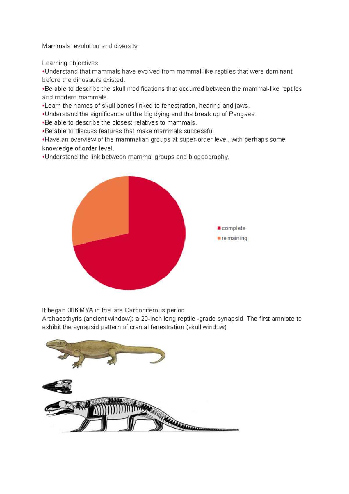 9. mammal diversity - Mammals: evolution and diversity Learning ...