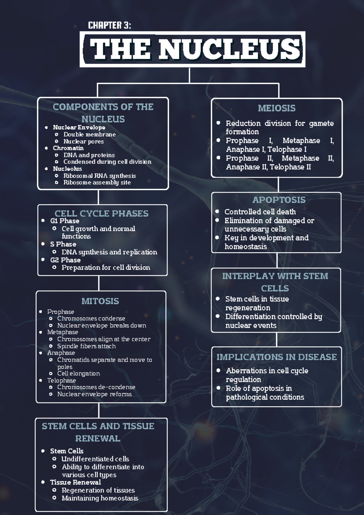 [ Chapter 3] Requina - daDas - THE NUCLEUSTHE NUCLEUS CHAPTER 3 ...