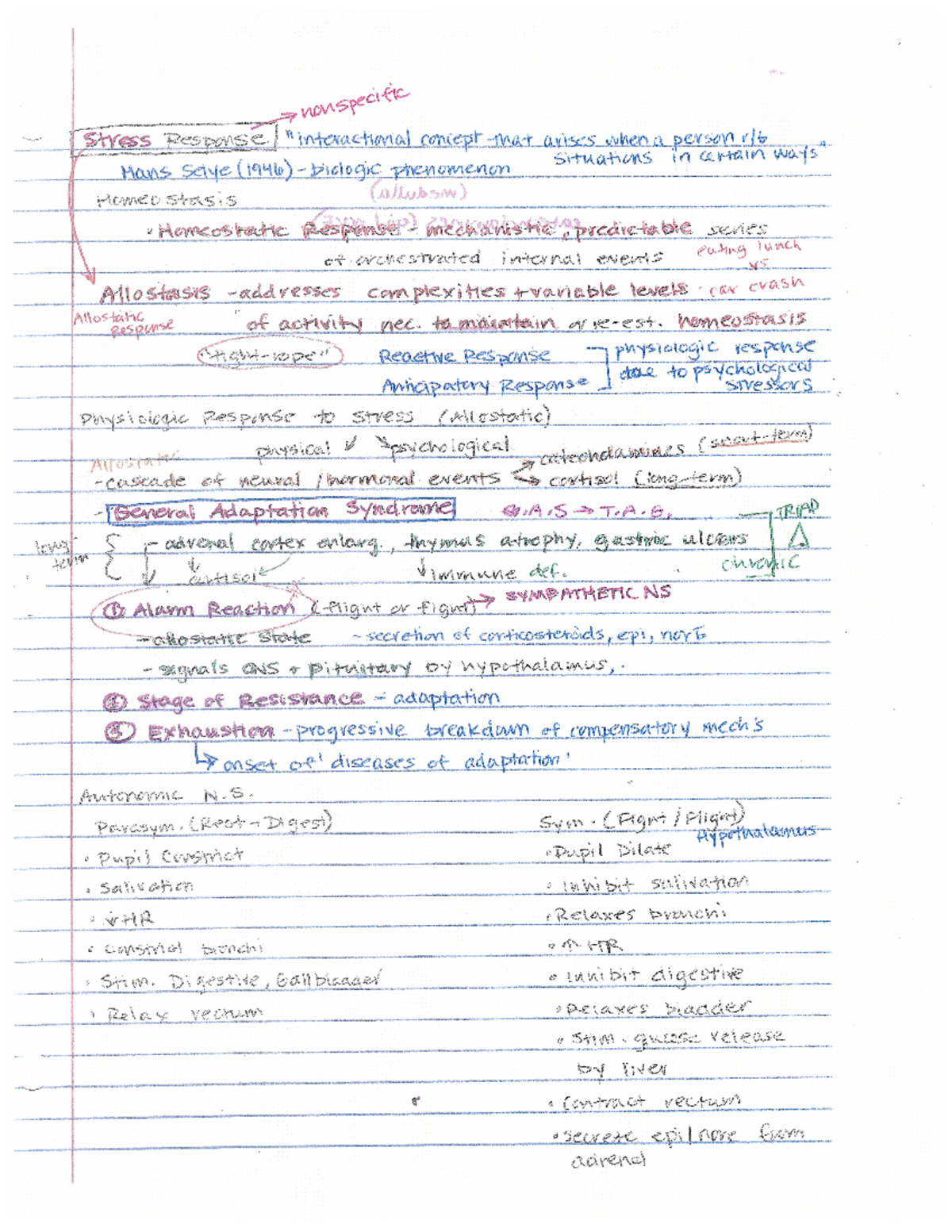 Patho Notes Cardiac - NURS 403 - Studocu