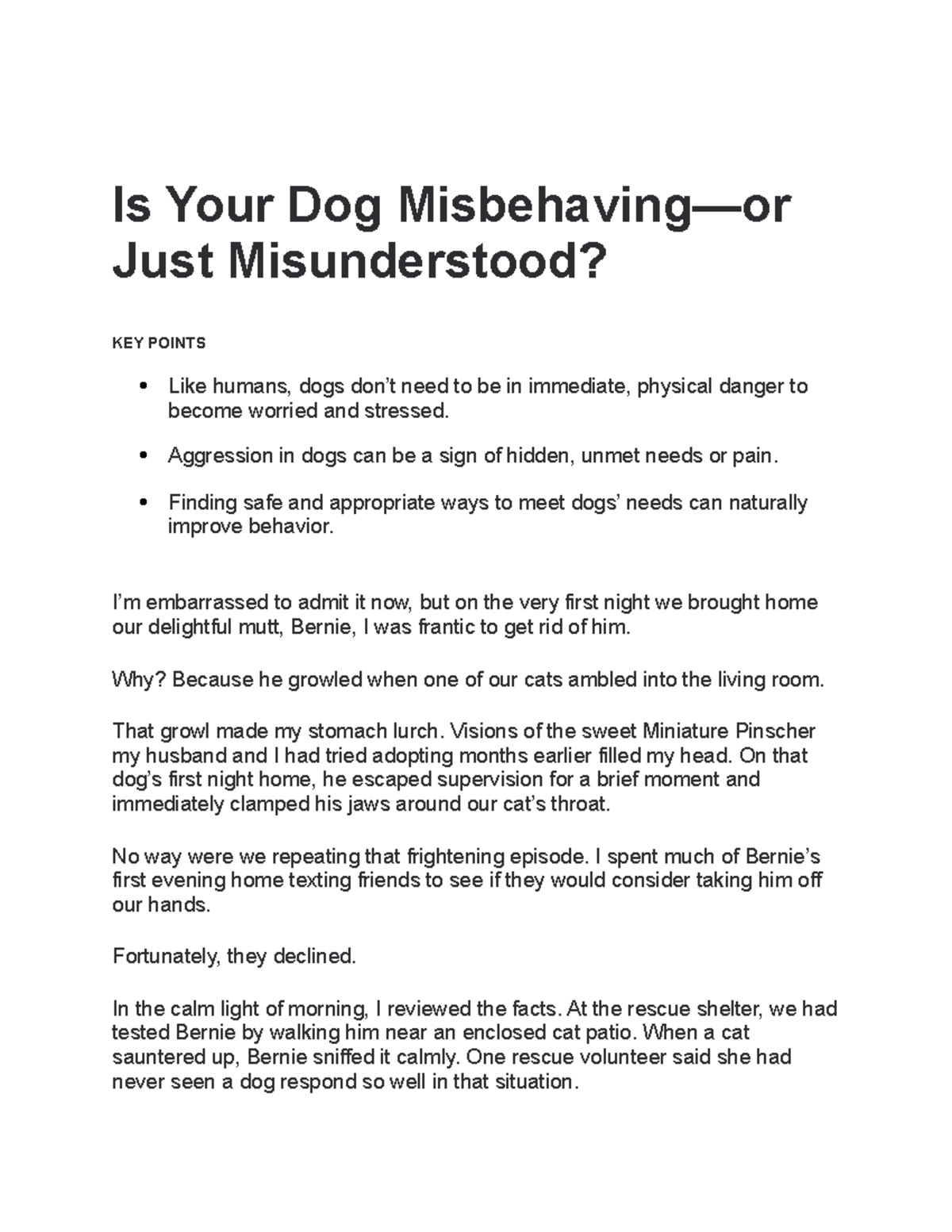 Dog misbehaving - why do they do this- lecture one - Is Your Dog ...