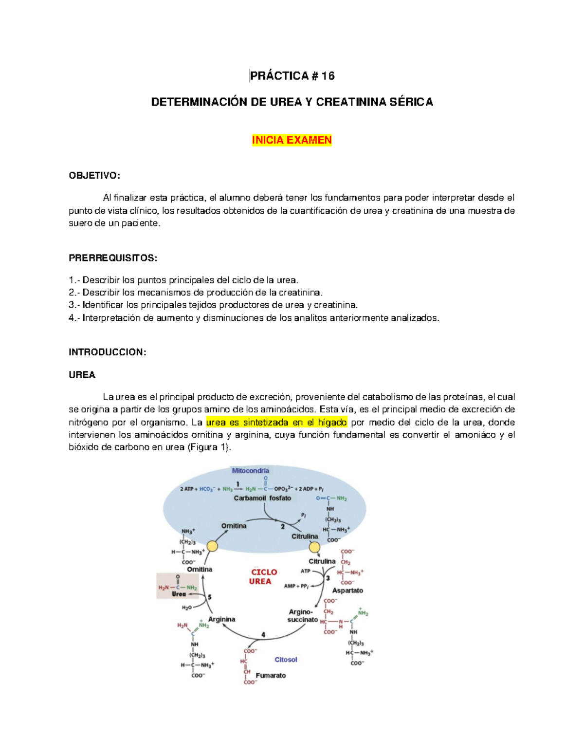 Practica 16 BIOQUIMICA GENERAL DE UNIVERSIDAD AUTONOMA - PRÁCTICA # 16 ...
