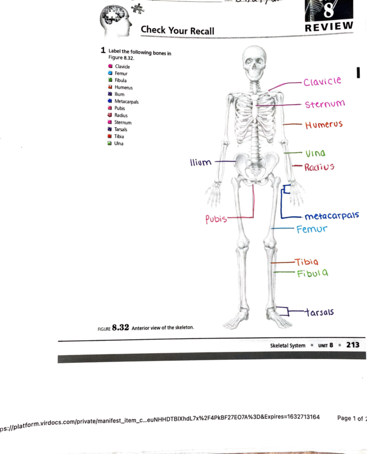 Unit 18 skeletal system - Check Your Recall 1 Label the following bon ...