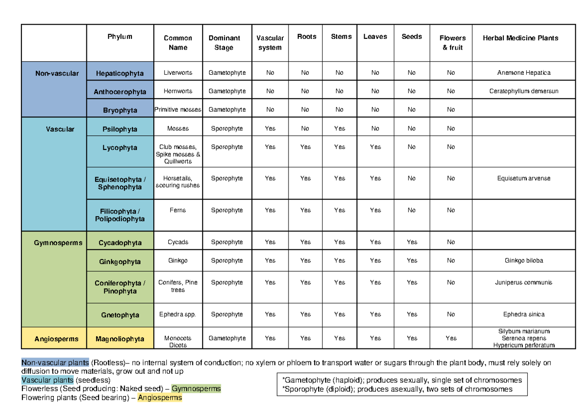 WHMF121 SN01 Tutorial Phylum Table - Non-vascular plants (Rootless)– no ...