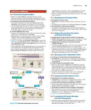 5. Pogil - Molecular Biology - Central Dogma of Biology POGIL PROTEIN ...