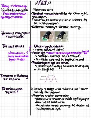 Neuroscience chapter 10 - Intensity Levels of common Sounds The ...