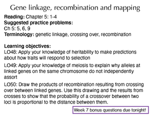 Genetics lec30 11 8 21 - Gene regulation: operons II Reading: Chapter ...