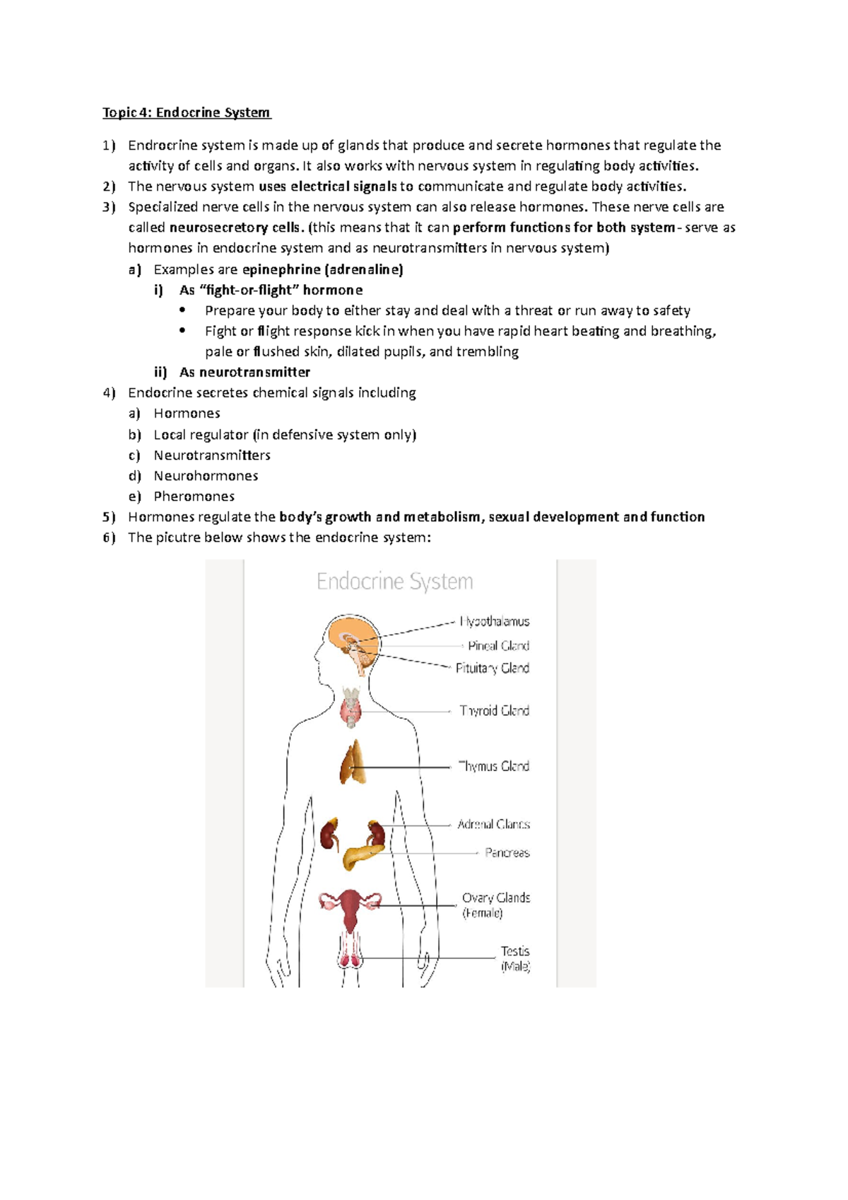 Note-Endocrine system - Topic 4: Endocrine System Endrocrine system is ...