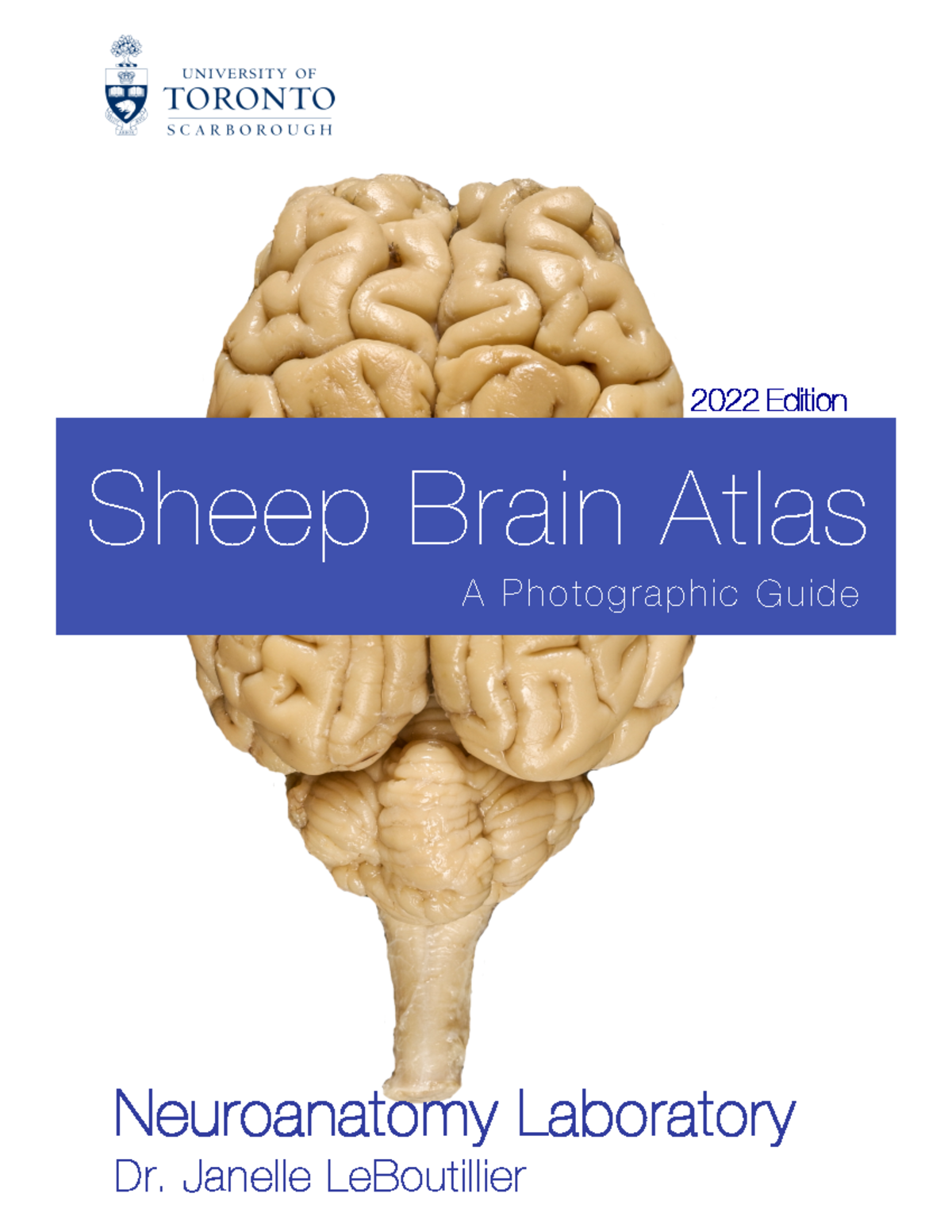 Sheep Brain Atlas 2022 - Textbook - Sheep Brain Atlas A Photographic ...