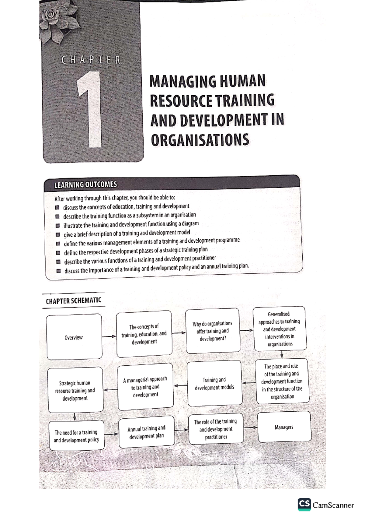 Training - TEXTBOOK - CHAPTER MANAGING HUMAN RESOURCE TRAINING AND ...