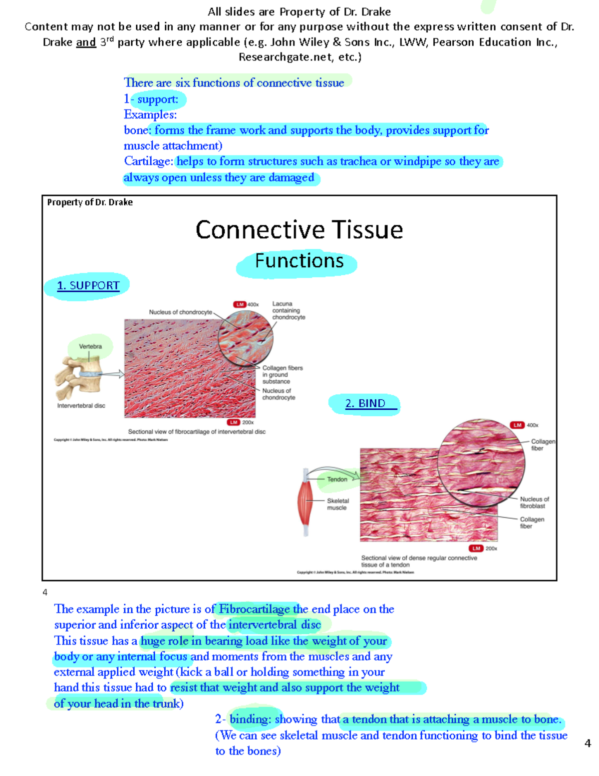 Drake Module 2 Tissues Part B - All slides are Property of Dr. Drake ...