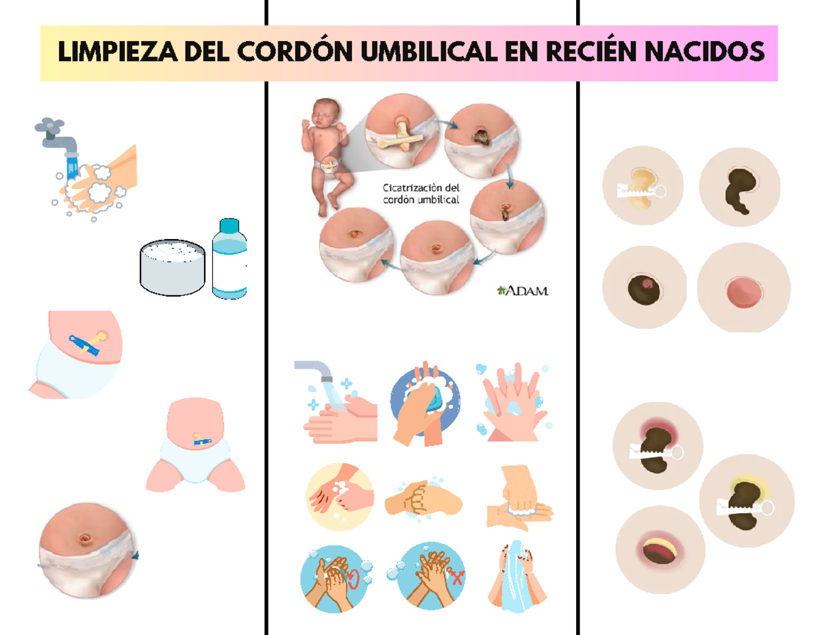 Bosquejo - Limpieza del cordón umbilical - Pediatria - LIMPIEZA DEL ...