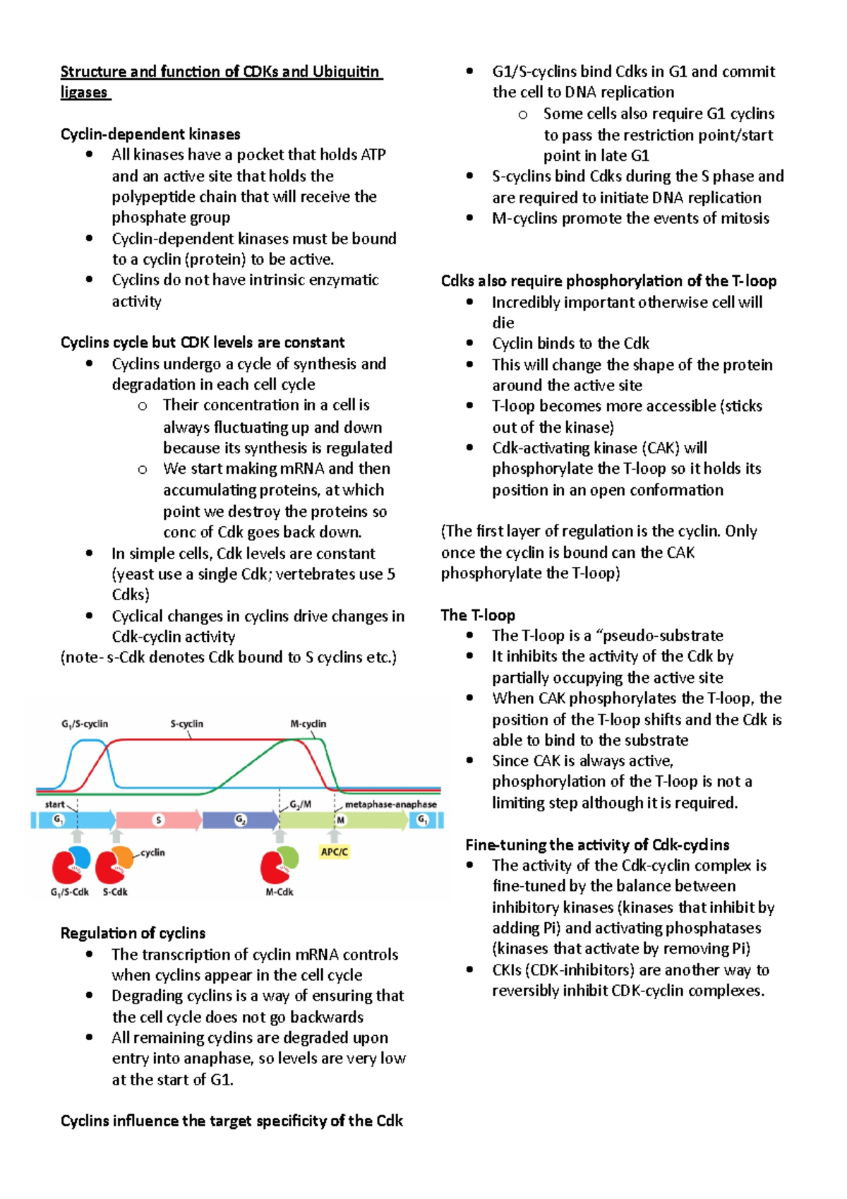 L8-Structure and function of CDKs and Ubiquitin ligases - Structure and ...