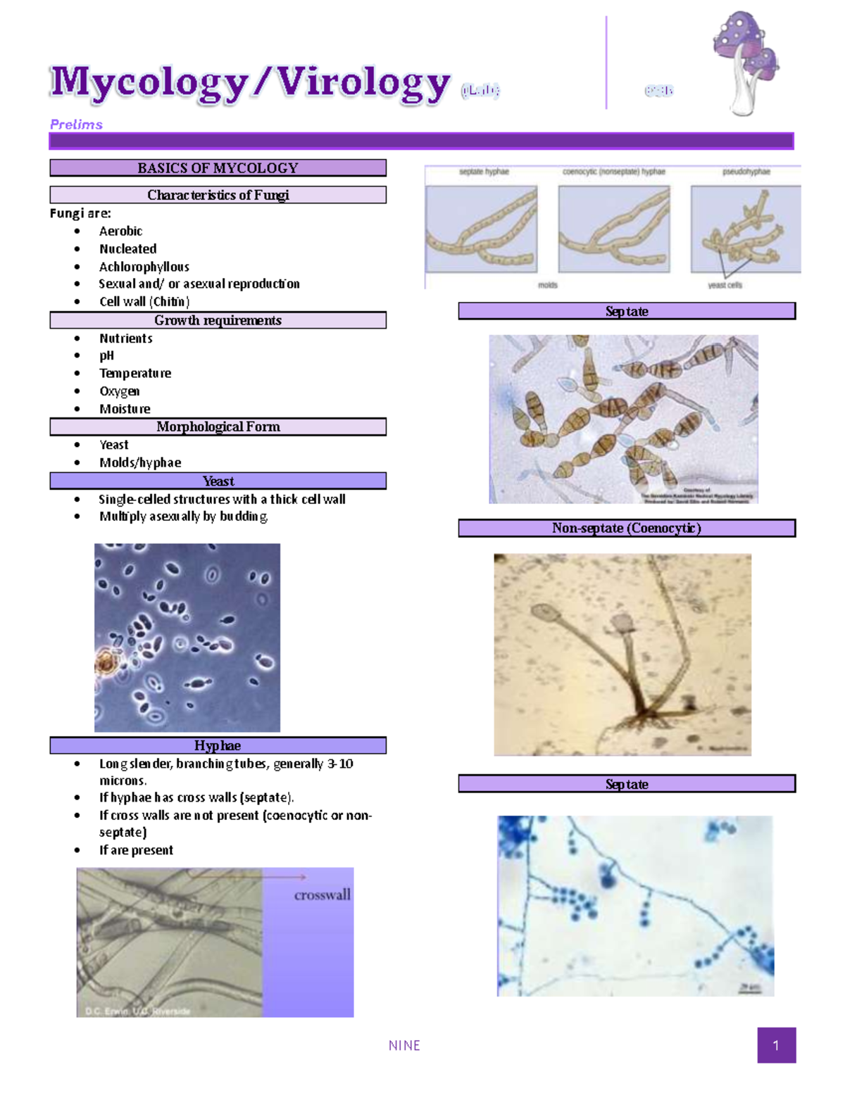 Myco Viro Introduction - Prelims Fungi are: Aerobic Nucleated Achlorophyllous Sexual and/ or ...