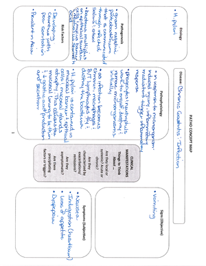 NUR335 Final - NUR 335 FINAL EXAM STUDY GUIDE NEURO Neurological ...