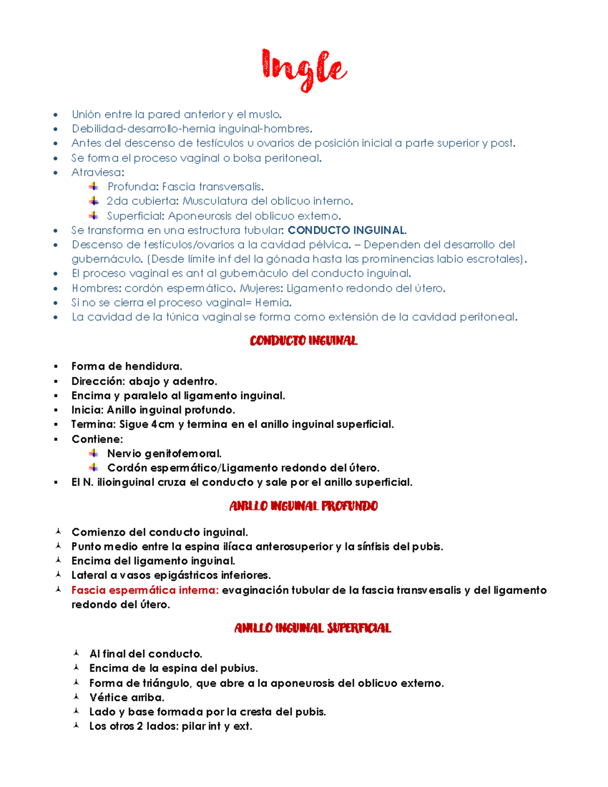 Ingle - Ingle Unión entre la pared anterior y el muslo. Debilidad ...