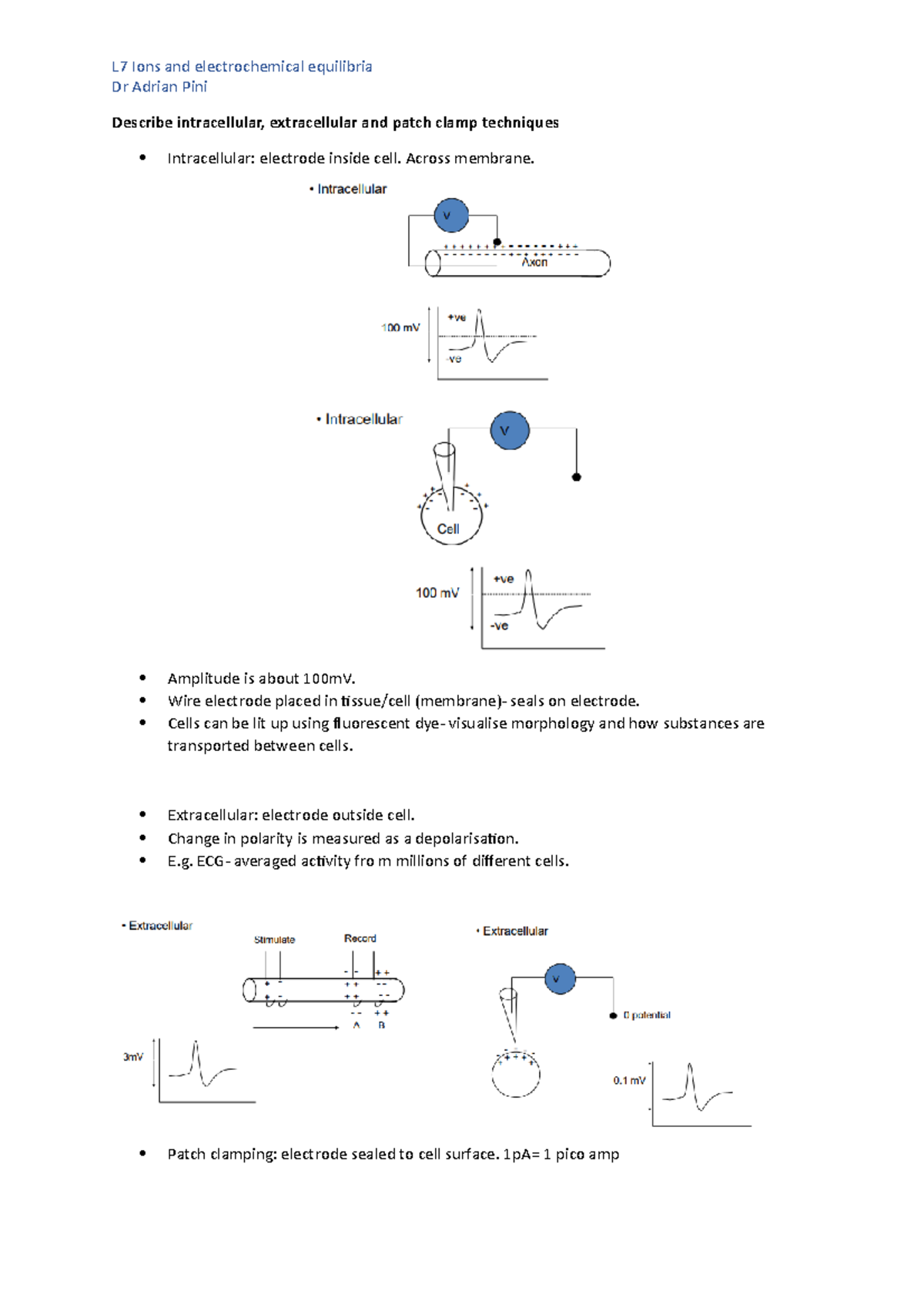 L7 ions and electrochemical equilibria - Dr Adrian Pini Describe ...