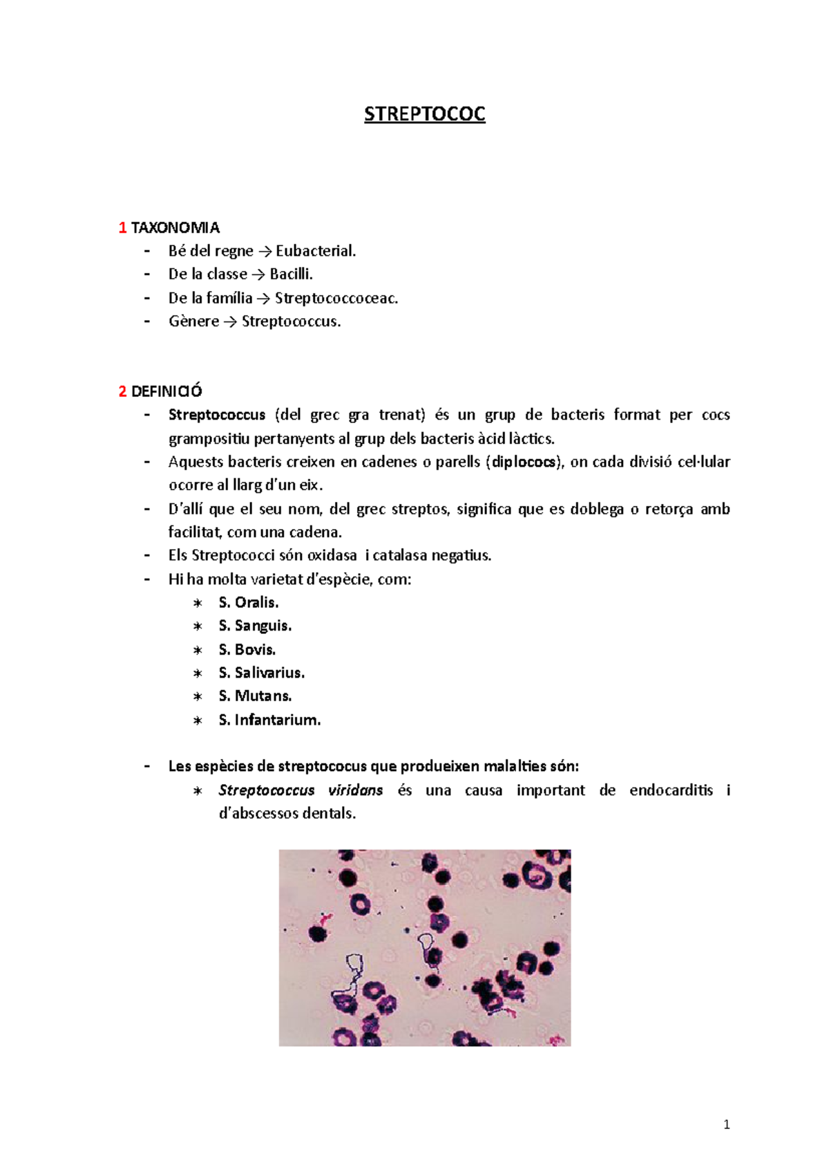 Fitxa Estreptococ - activitat - STREPTOCOC 1 TAXONOMIA Bé del regne → ...