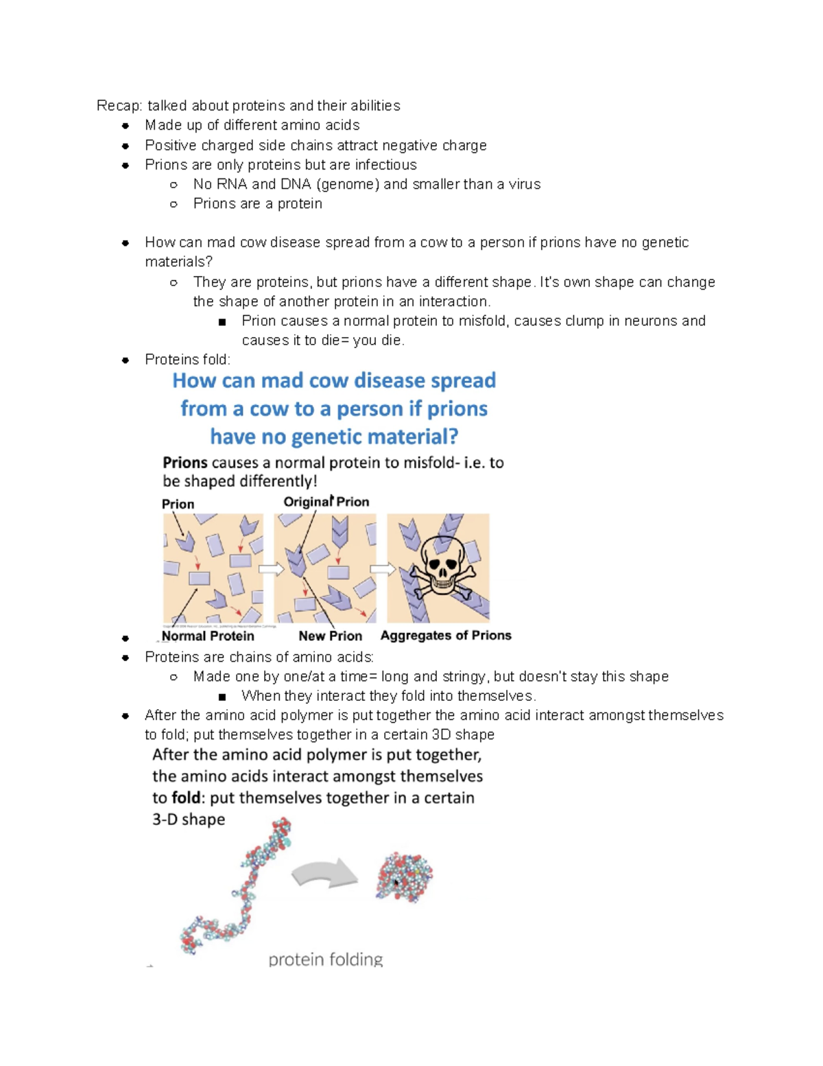 Lecture 5 Proteins and Lipids - Recap: talked about proteins and their ...