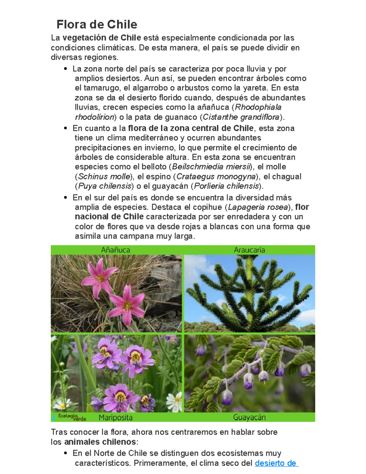 Caracteristicas de chile - Flora de Chile La vegetación de Chile está ...