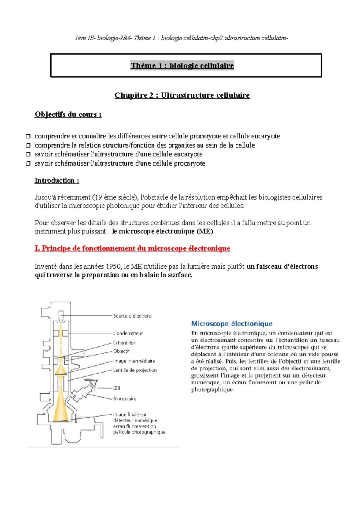 Ultrasructure de la cellule - 1 : biologie 1 : biologie cellulaire ...