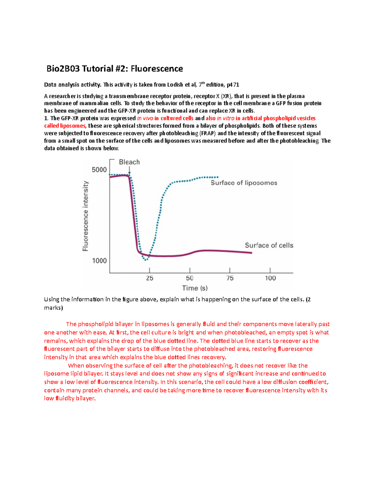 W23 Bio 2 Assignment 2 - Fluorescence-400369933 - Bio2B03 Tutorial #2: Fluorescence Data ...
