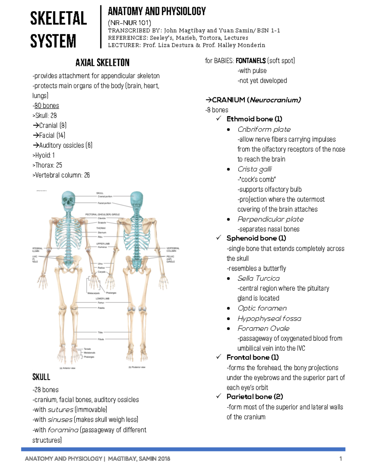 Axial appendicular tranx final - SKELETAL SYSTEM ANATOMY AND PHYSIOLOGY ...