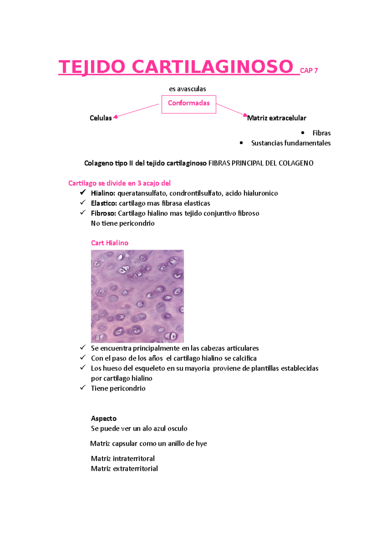 Tejido Cartilaginoso resumen - TEJIDO CARTILAGINOSO CAP 7 es avasculas Celulas Matriz ...
