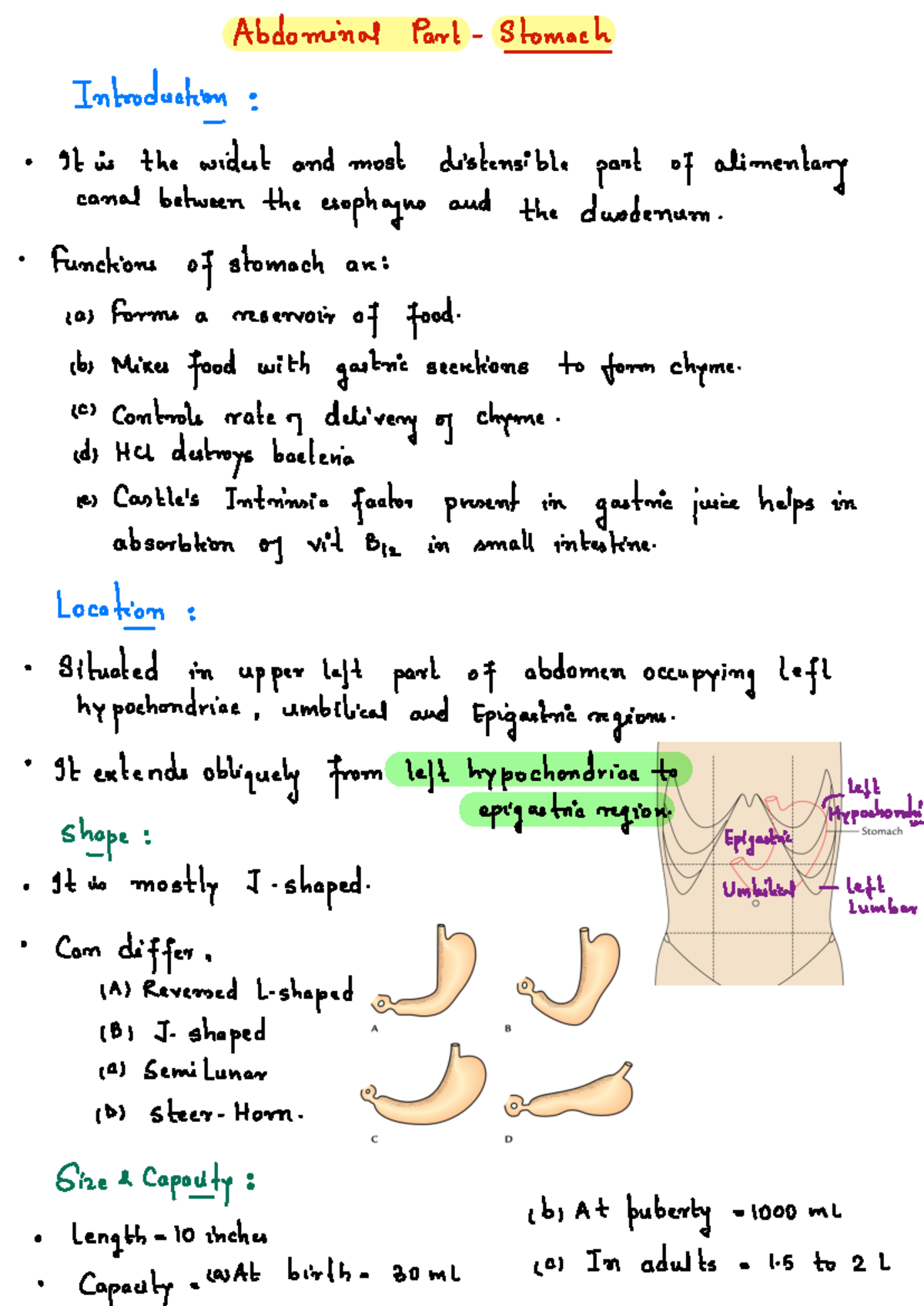 Abdominal Part - Stomach - Abdominal Part - stomach Introduction : o 9T ...