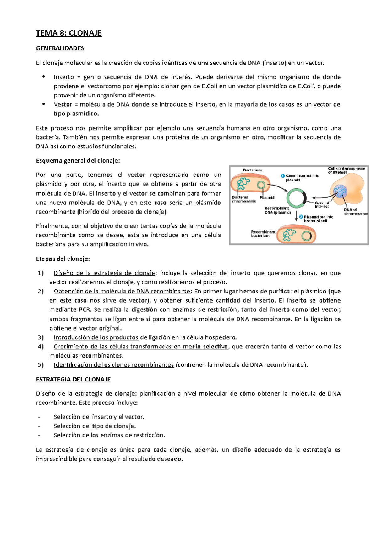 TEMA 8 Clonaje - mbmjbgjk,gbm,b,j,mn - TEMA 8: CLONAJE GENERALIDADES El ...