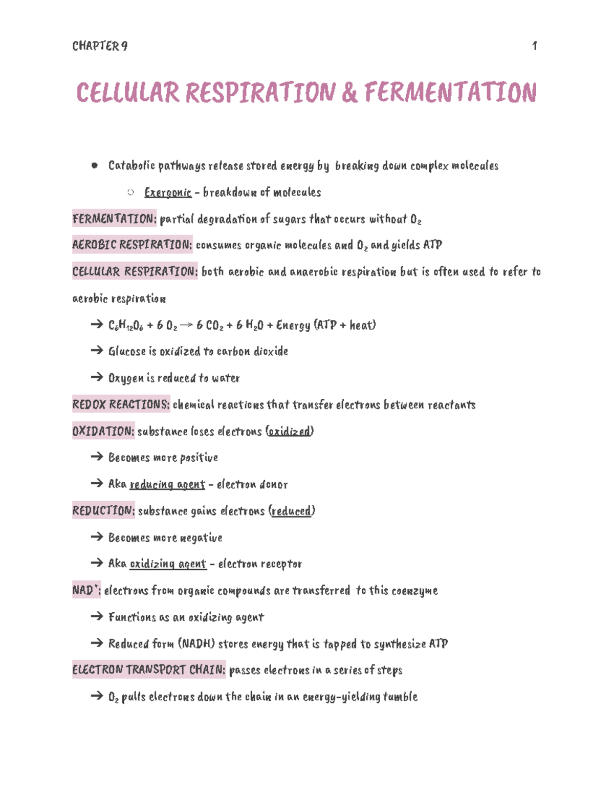 Chapter 9 Notes - Cellular Respiration and Fermentation - CEĆąáLìï ...