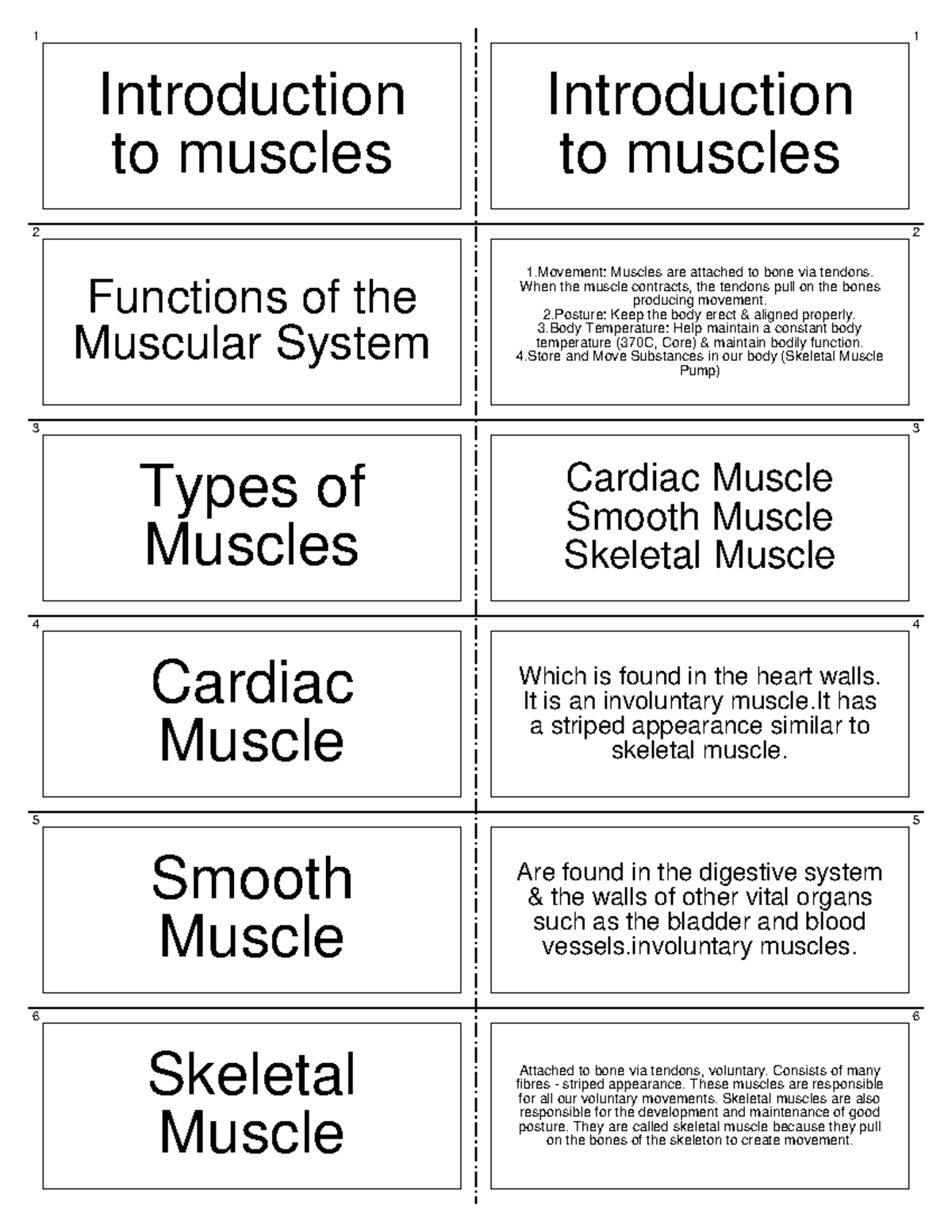 Muscular system cue cards 2 - Introduction to muscles Introduction to ...