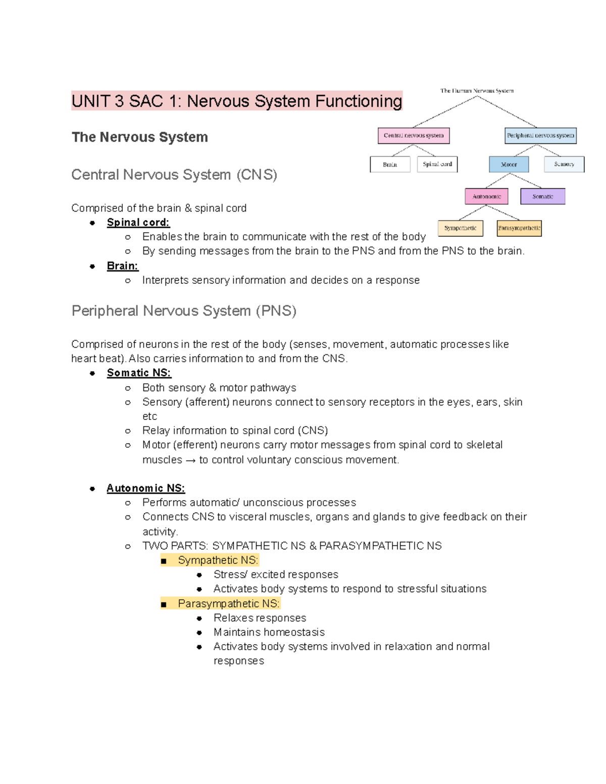 Psychology VCE - psych - UNIT 3 SAC 1: Nervous System Functioning The Nervous System Central ...