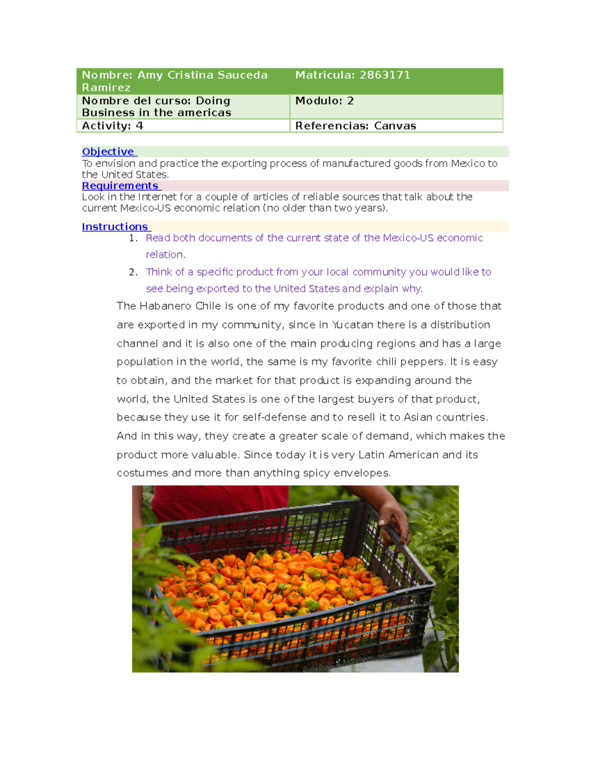 Activity 4 doing business - Nombre: Amy Cristina Sauceda Ramirez ...