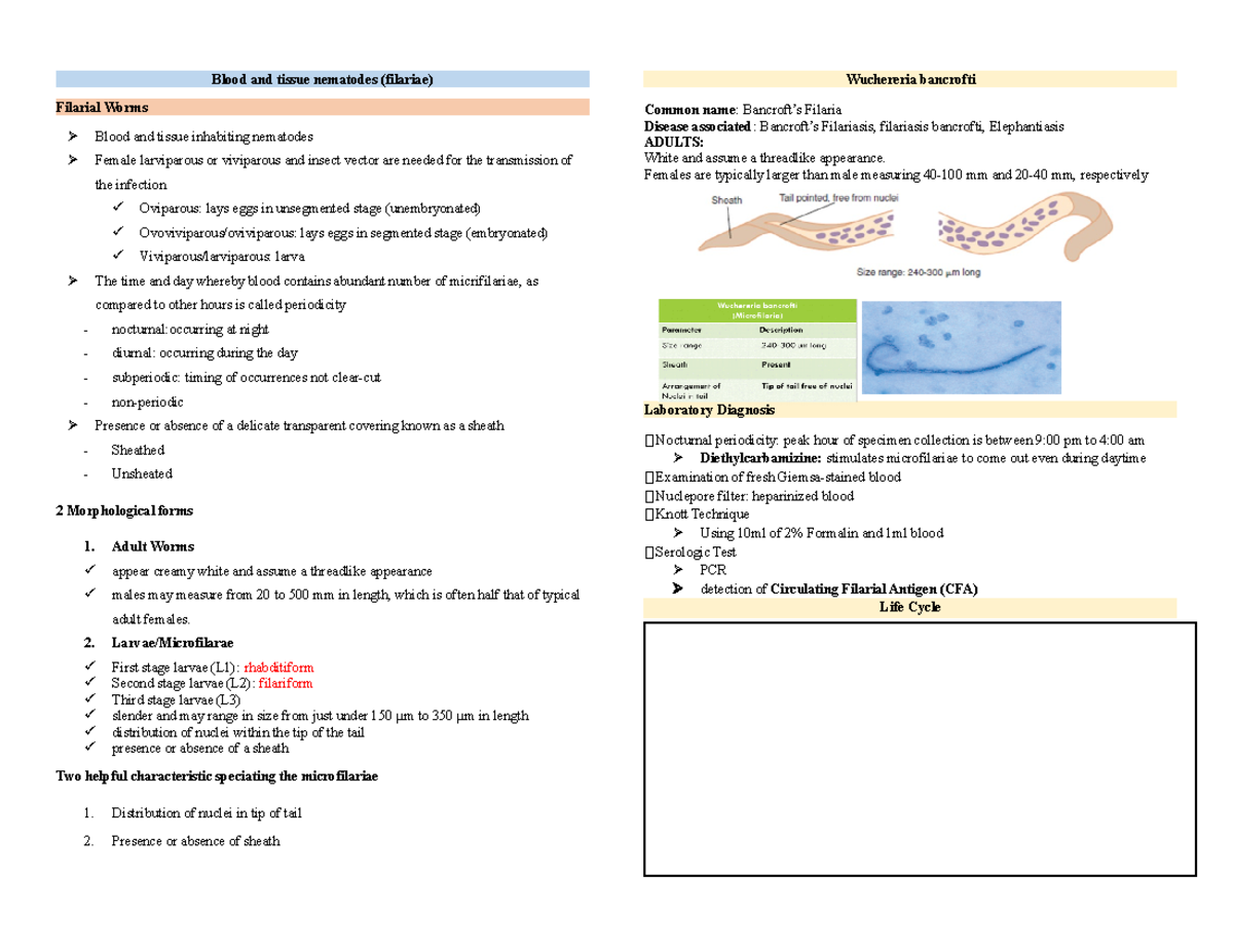 PARA LEC Nematodes - notes - Blood and tissue nematodes (filariae ...