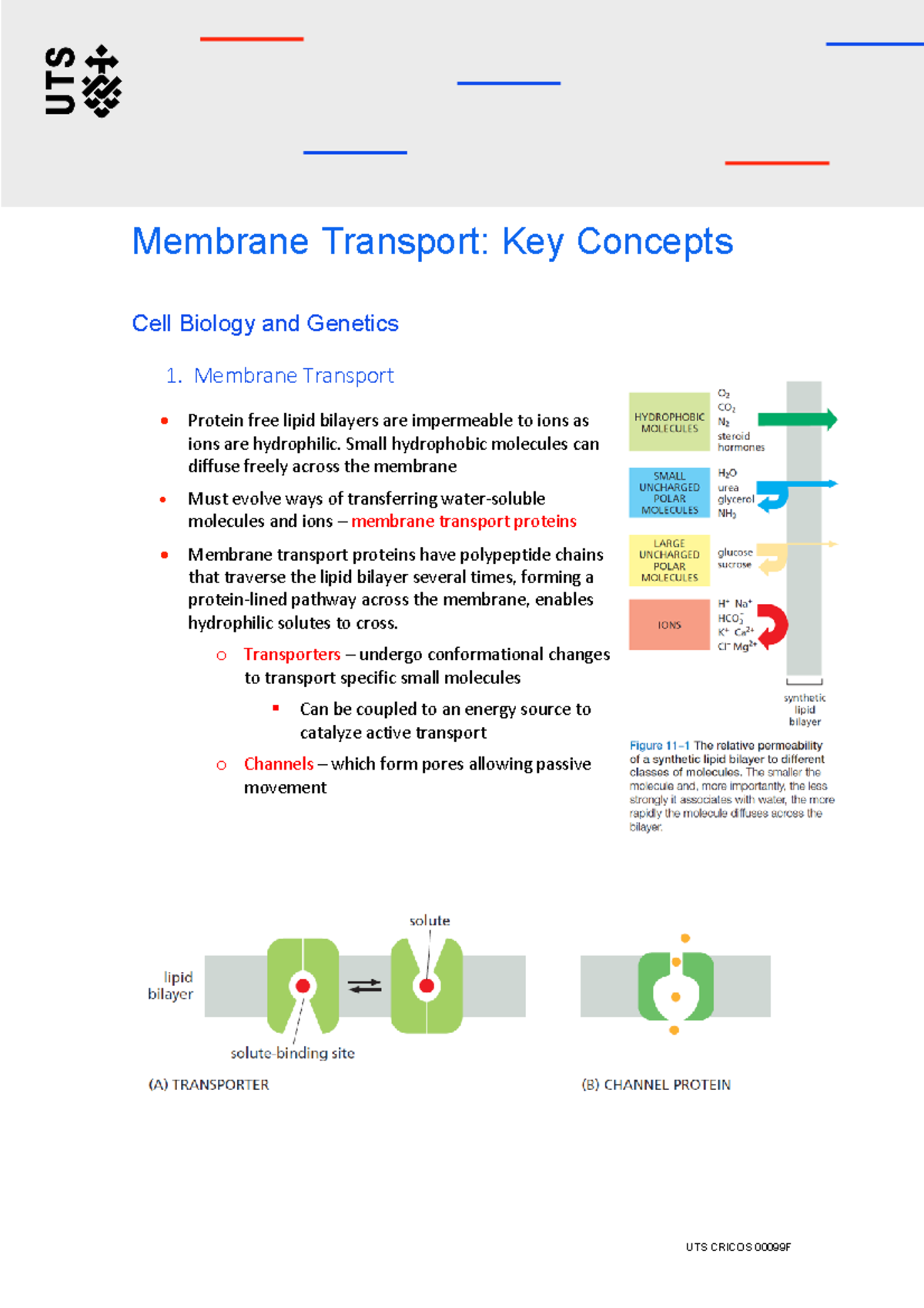 Membrane Transport Key Concepts-1 - Membrane Transport: Key Concepts Cell Biology and Genetics 1 ...