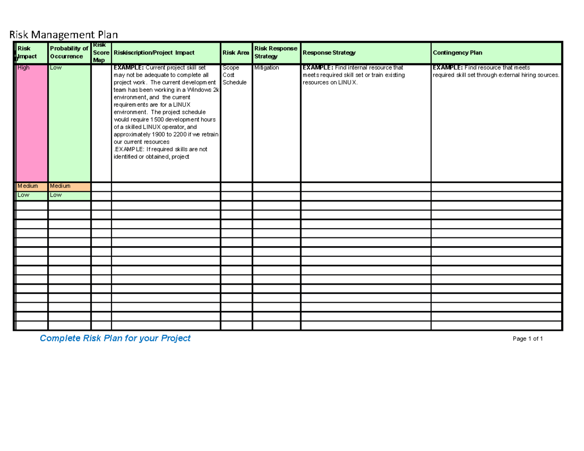 New CDC UP Risk Management Log Template.docx Batch 2 - Risk Management ...