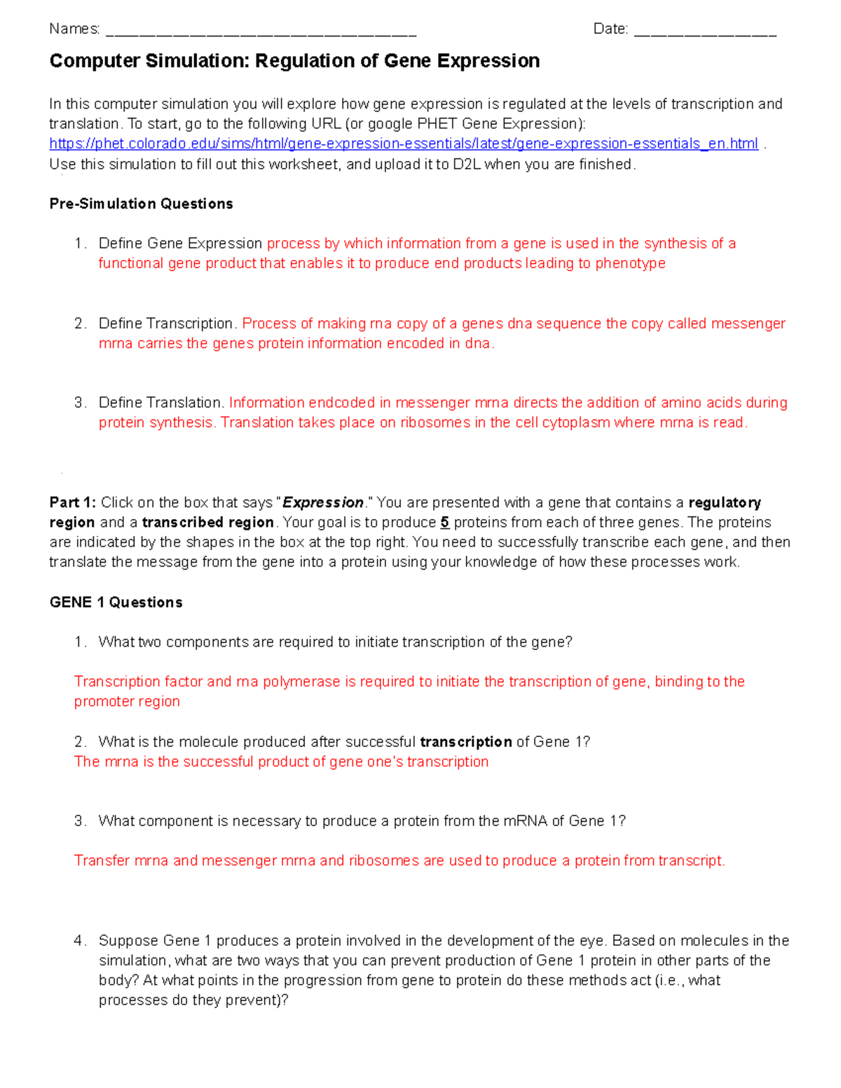 Lab Gene Regulation - Names: _____________________________________ Date ...