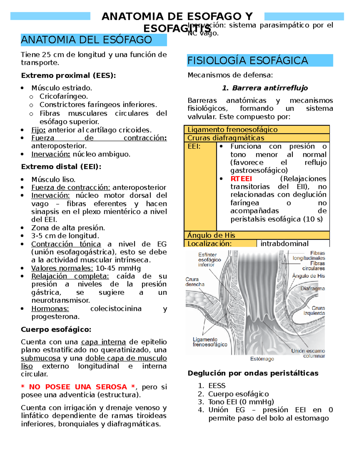 Anatomia DEL Esófago - Patología - ANATOMIA DEL ESÓFAGO Tiene 25 cm de ...
