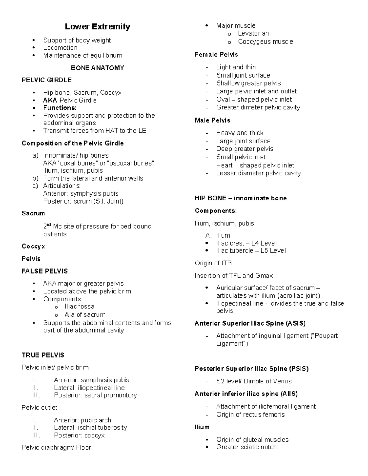 Anatomy Of Lower Extremity Lower Extremity Support Of Body Weight