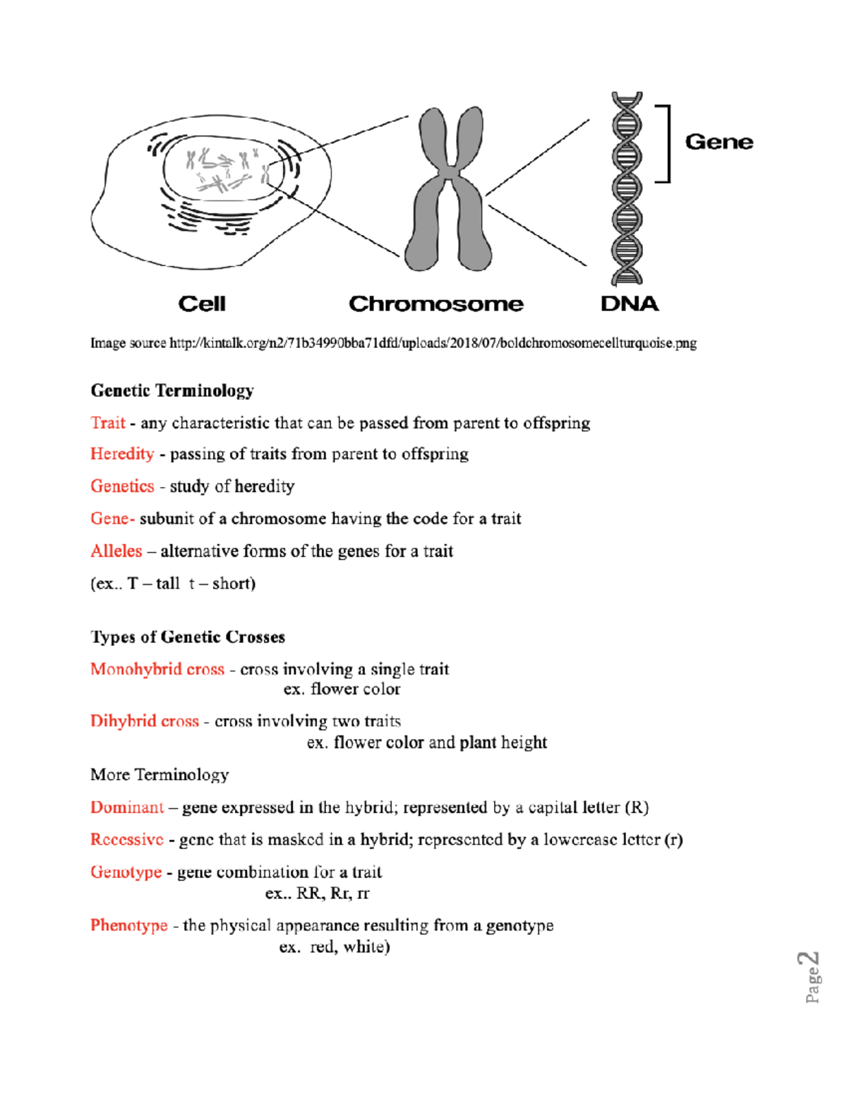 Mendelian Genetics - Studocu