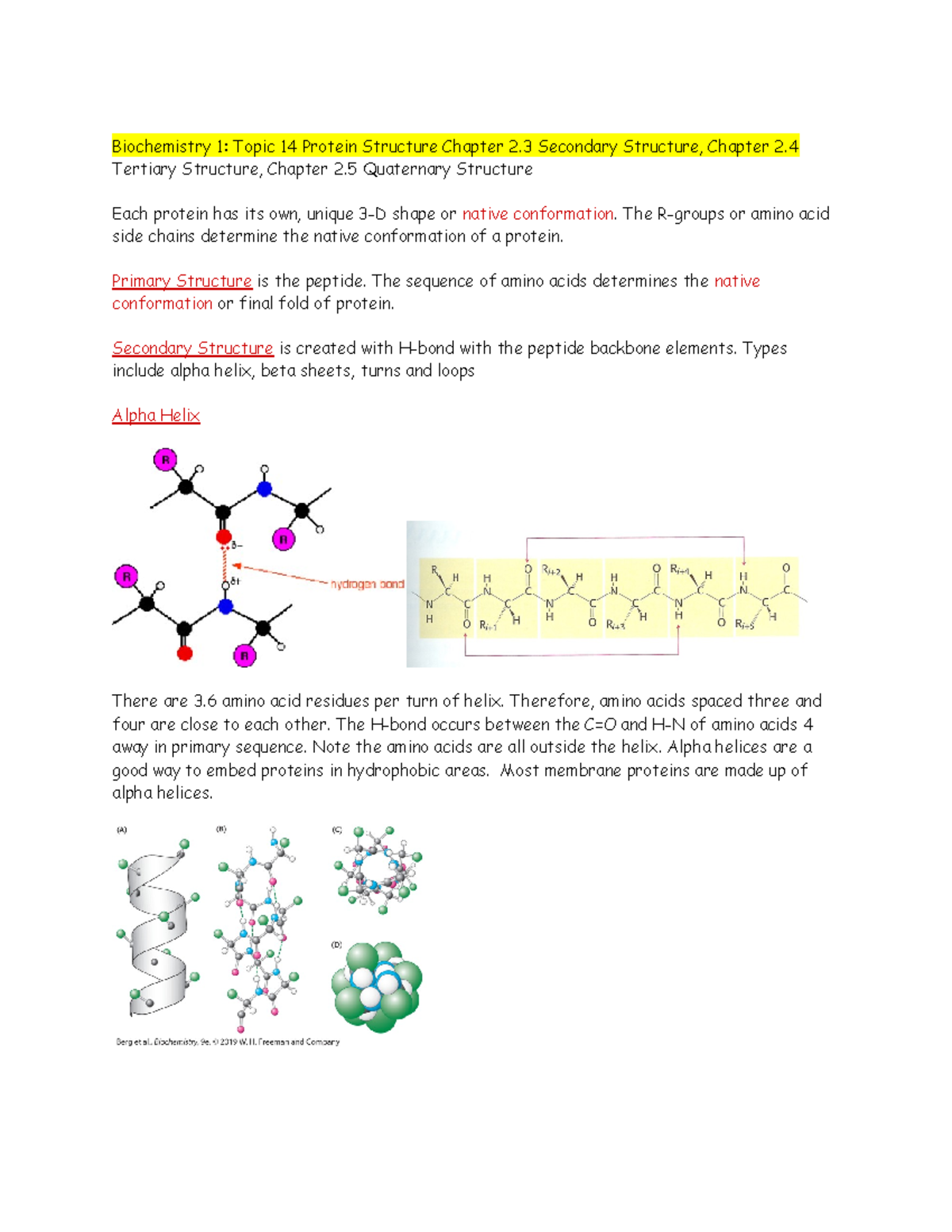 Biochemistry 1 - biochem notes - Biochemistry 1: Topic 14 Protein ...