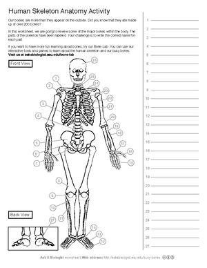Exercise 10 - Appendicular Skeleton - R E V I E W S H E E T NAME ...