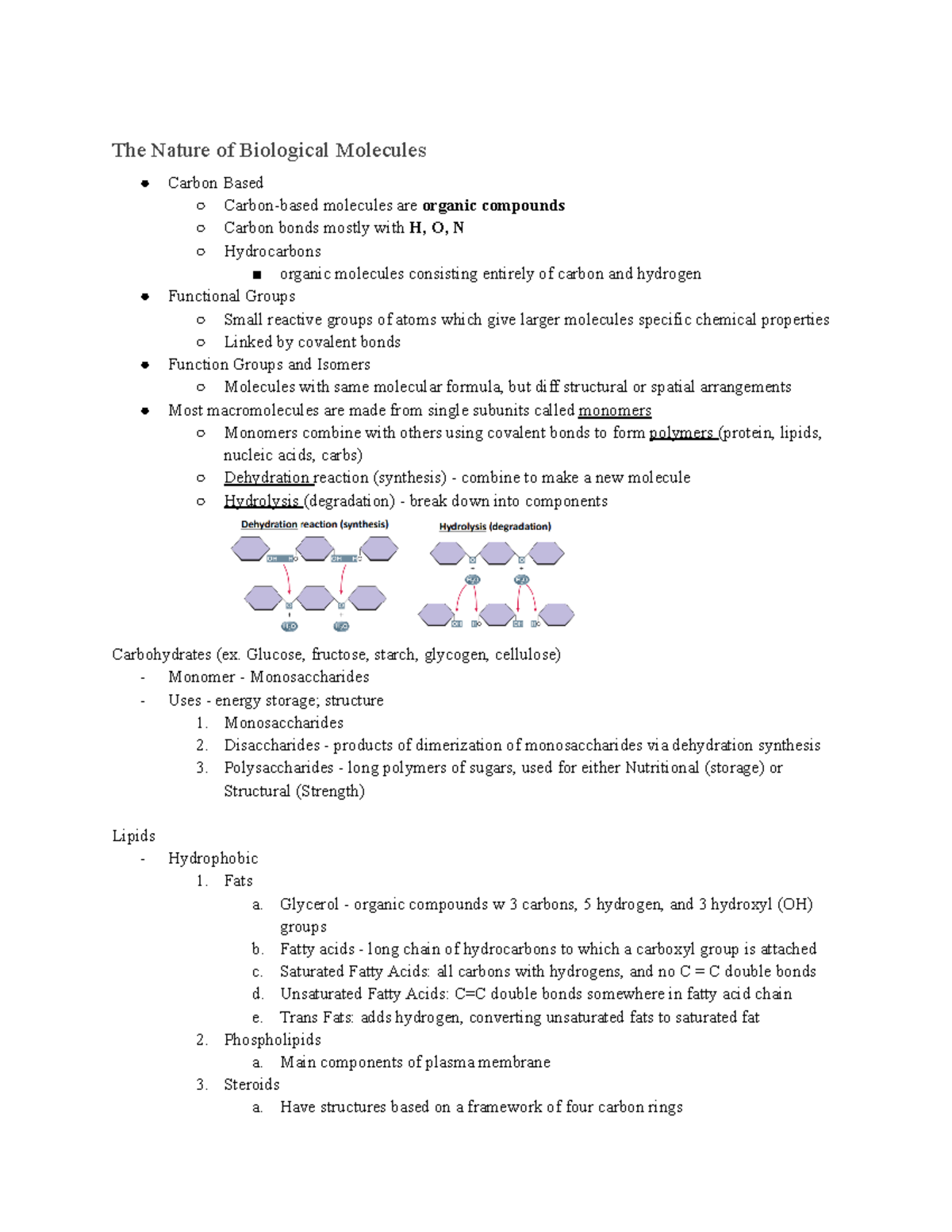 Bio 281 Chapter 3 Reading Notes - The Nature of Biological Molecules ...