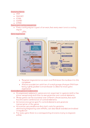Week 2 Module 1 Evolution Chp 24 Notes - The Origin of Species Chp 24 ...