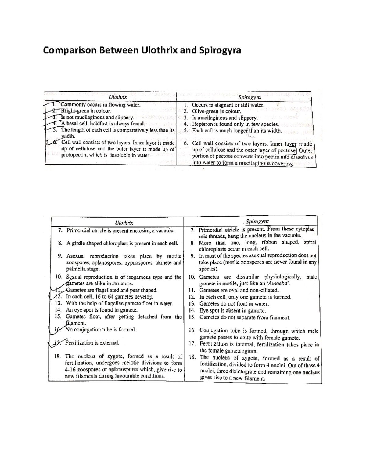 Comparison between Ulothrix and Spirogyra - Botany - Studocu